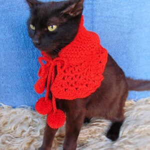 Little Red Riding Hood Cat Costume, Halloween Pet Costume, Cat Hoodie ...