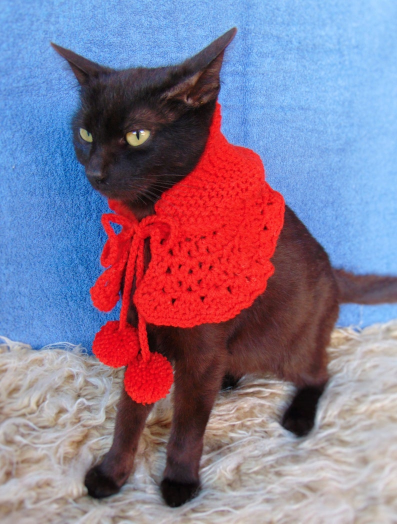 Little Red Riding Hood Cat Costume Halloween Pet Costume Cat - Etsy