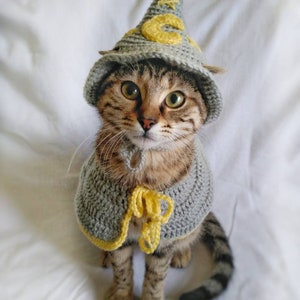 Wizard Costume for Cat, Wizard Hat for Cat, Wizard Pet Costume - Etsy