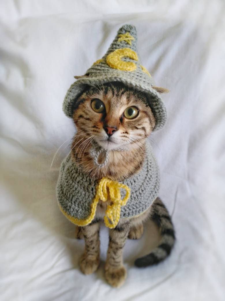 Wizard Costume for Cat Wizard Hat for Cat Wizard Pet Costume - Etsy Ireland