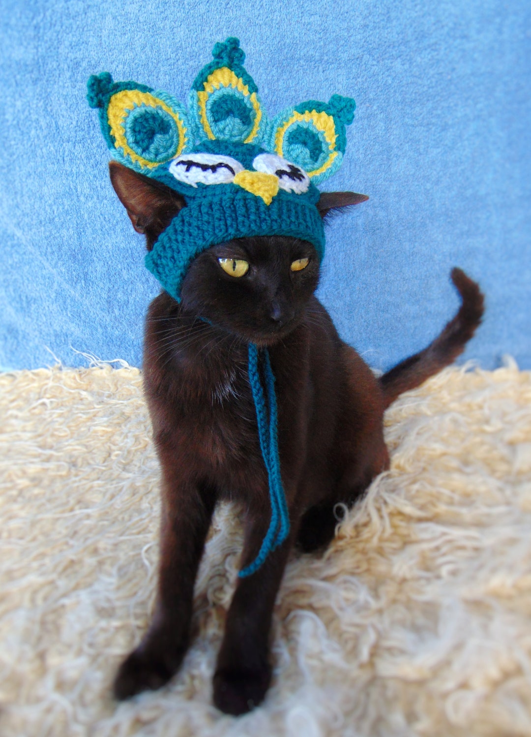 Peacock Hat for Cat, Peacock Pet Costume, Kitten Accessories, Hats for ...