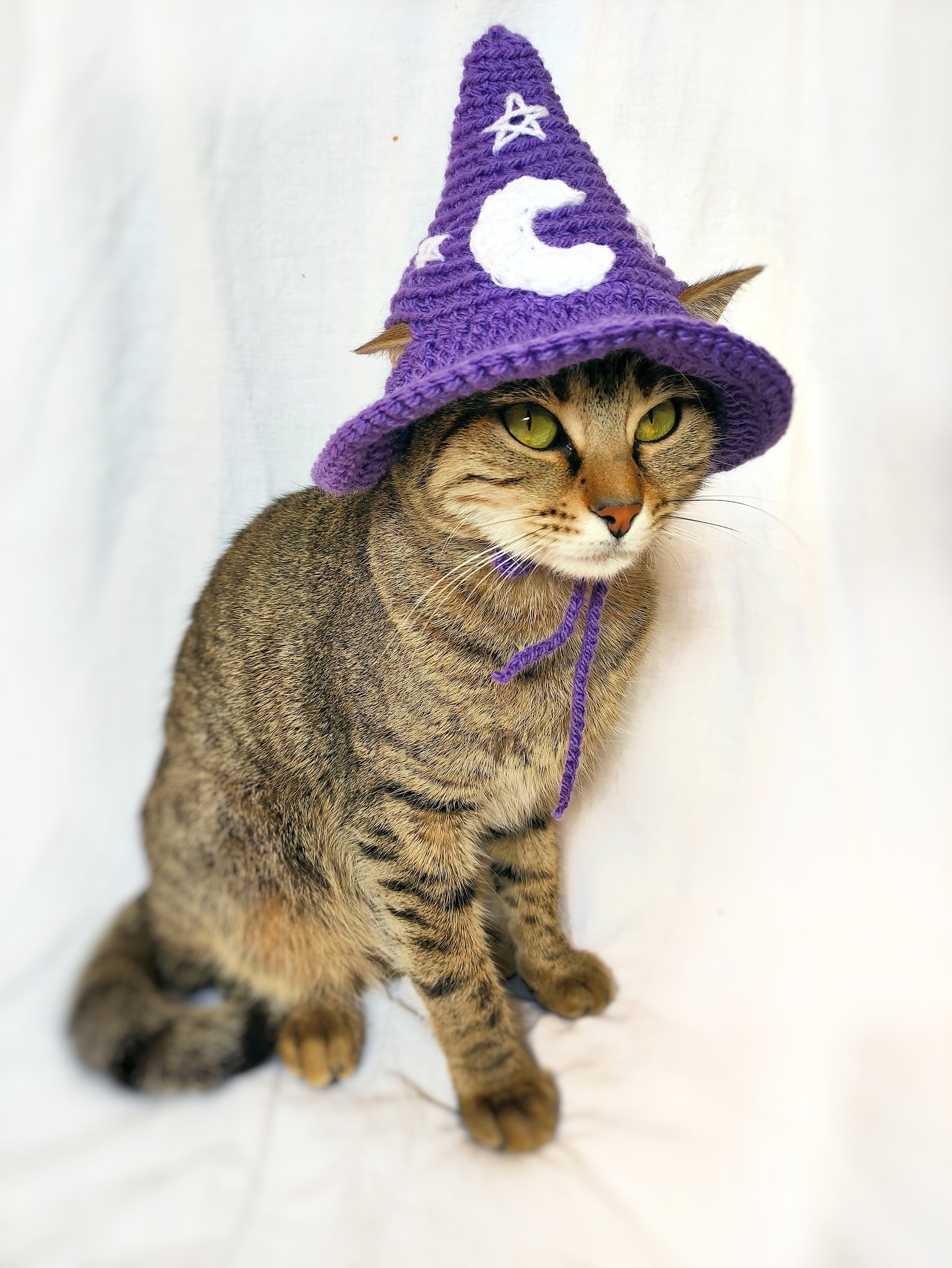 Dark Grey Wizard Hat for Cat Halloween Wizard Pet Costume - Etsy