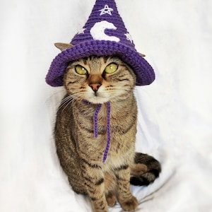 Dark Grey Wizard Hat for Cat, Halloween Wizard Pet Costume, Dark Grey ...