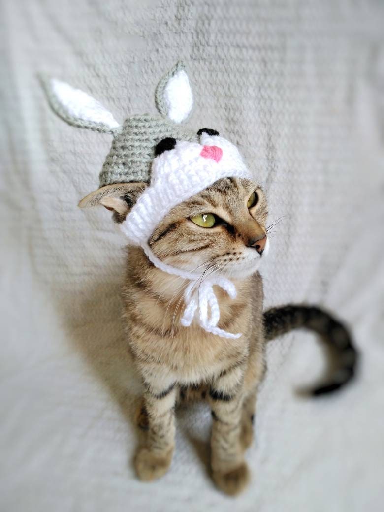 Bunny Hat for Cat Easter Bunny Pet Costume Spring Kitten - Etsy