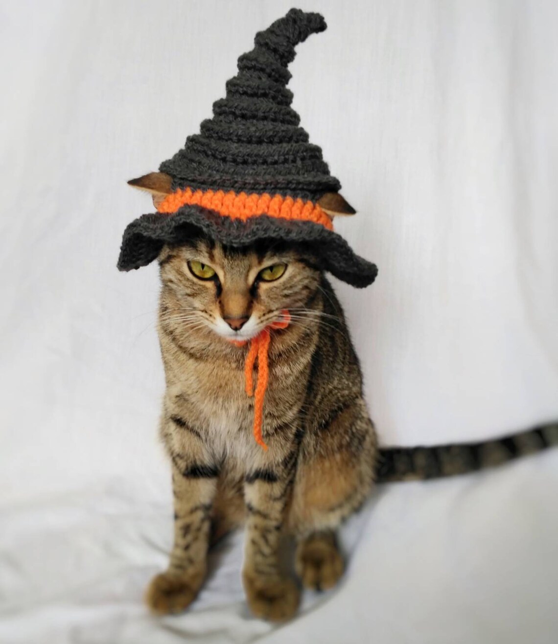 Witch Hat for Cat Halloween Witch Pet Costume Fairy Cat - Etsy