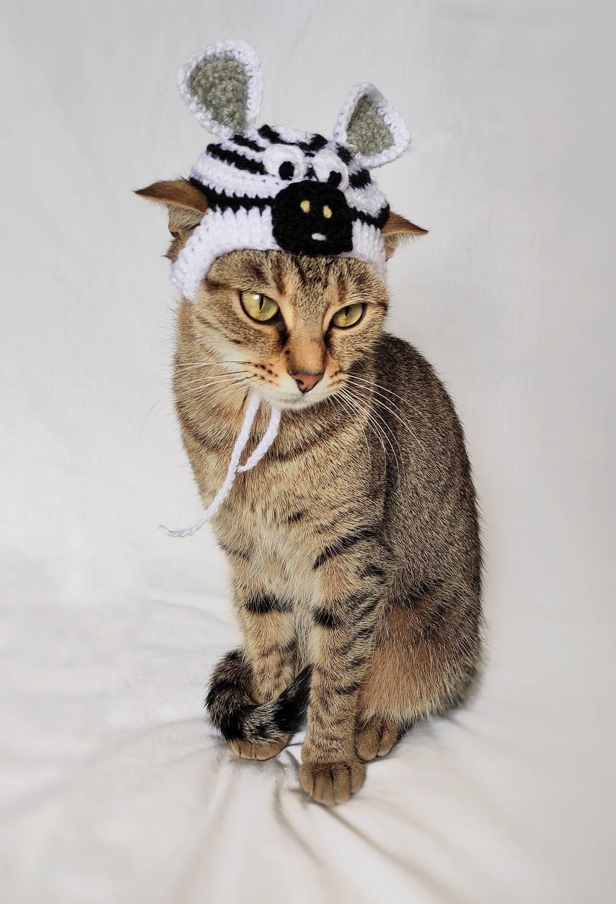 Zebra Hat for Cat Zebra Pet Costumehalloween Kitten Outfit - Etsy