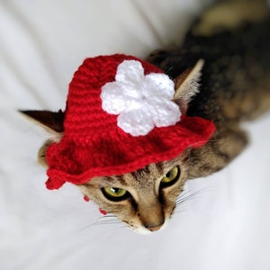 Summer Hat for Cat, Red Brim Kitty Hat, Flower Hats for Cats, Cat ...