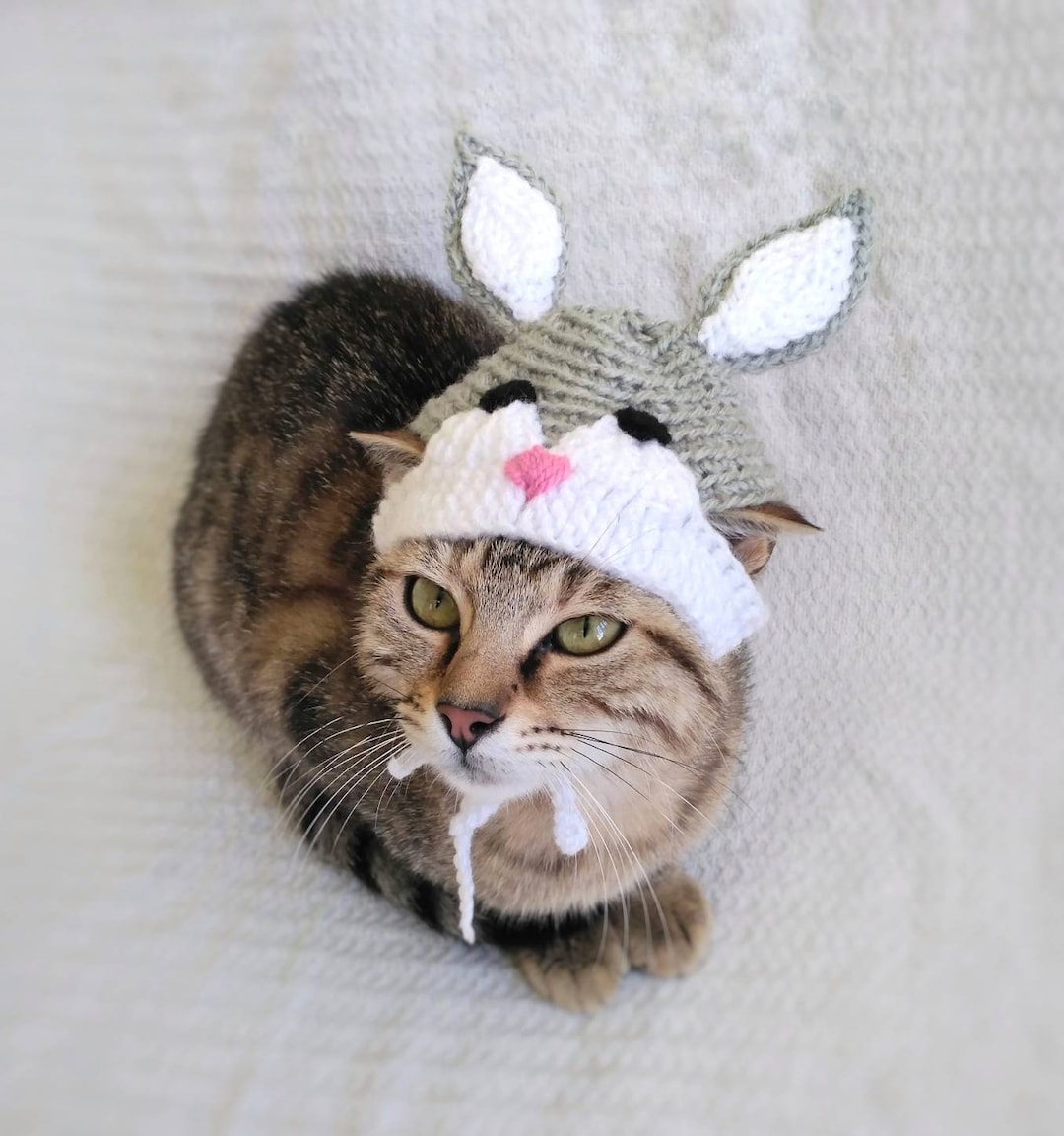 Bunny Hat for Cat, Easter Bunny Pet Costume, Spring Kitten Photo Prop ...