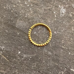 Pyramid Cut Hinged Segment Ring Tragus Cartilage Septum Clicker Ear Nose Hoop Implant Grade ...