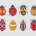 Ladybugs Clipart Insects Clipart Lady Beetles Garden Bugs - Etsy
