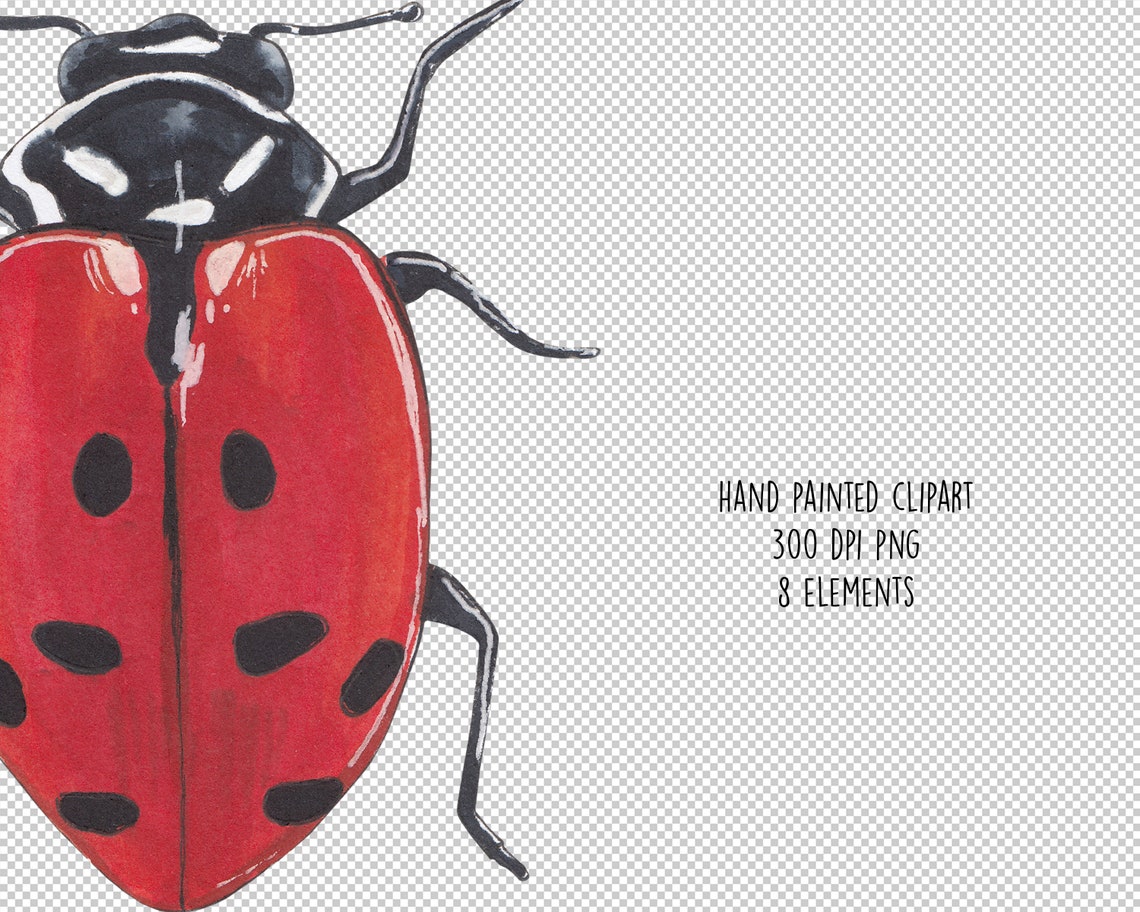 Ladybugs Clipart Insects Clipart Lady Beetles Garden Bugs - Etsy