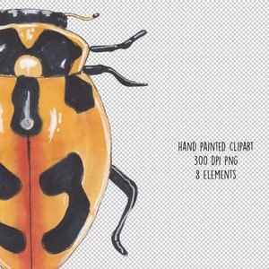 Ladybugs Clipart Insects Clipart Lady Beetles Garden Bugs - Etsy