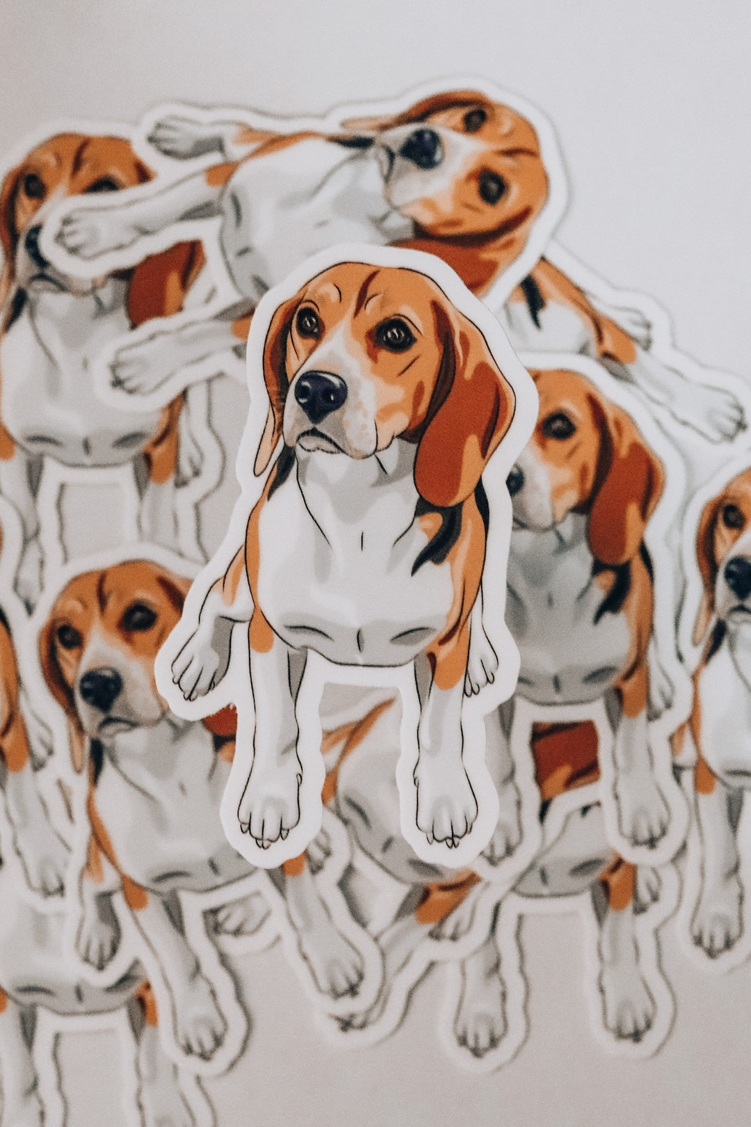 Beagle Sticker Sitting - Etsy