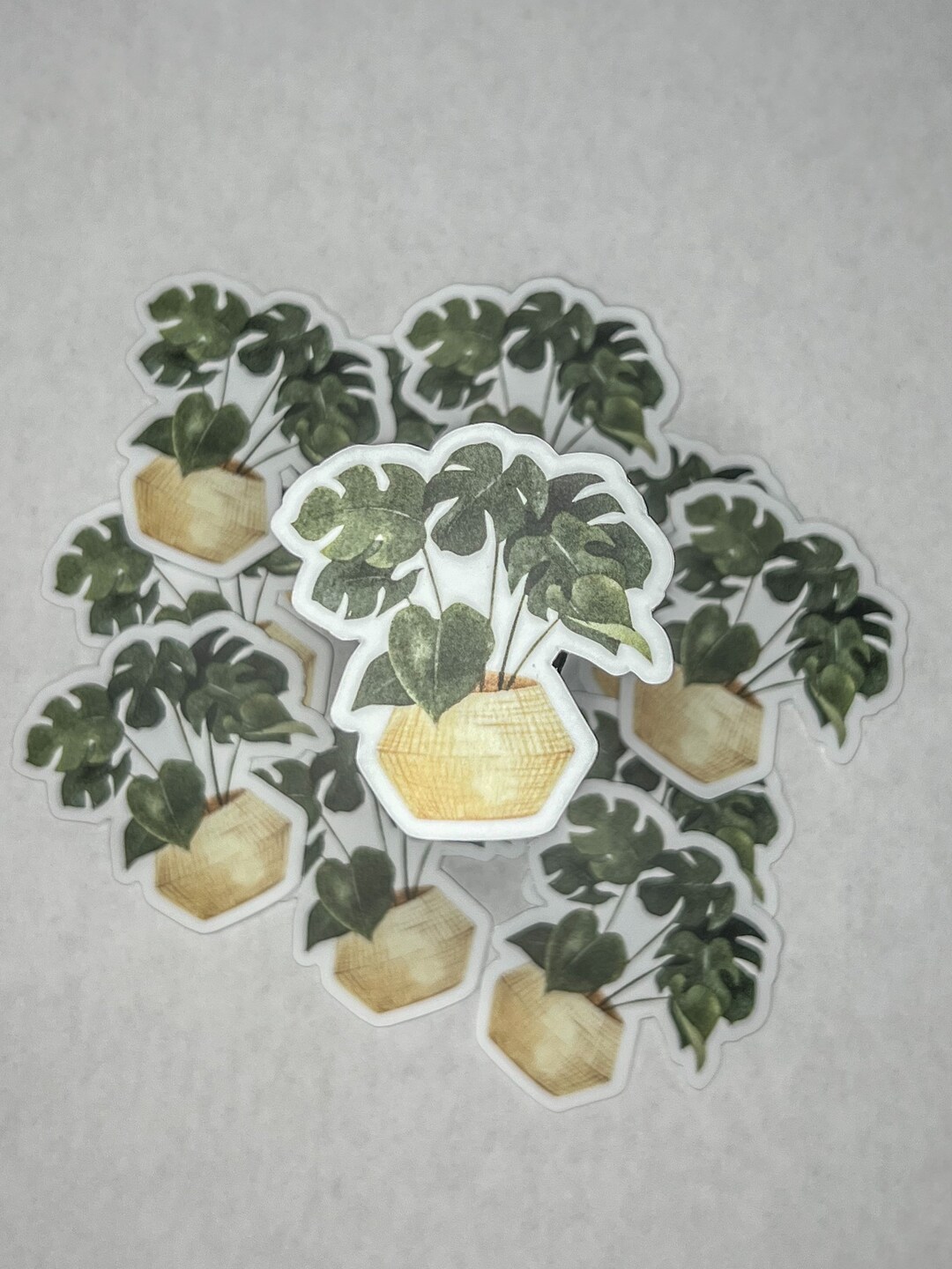 Monstera Plant Potted Vinyl Sticker - Etsy