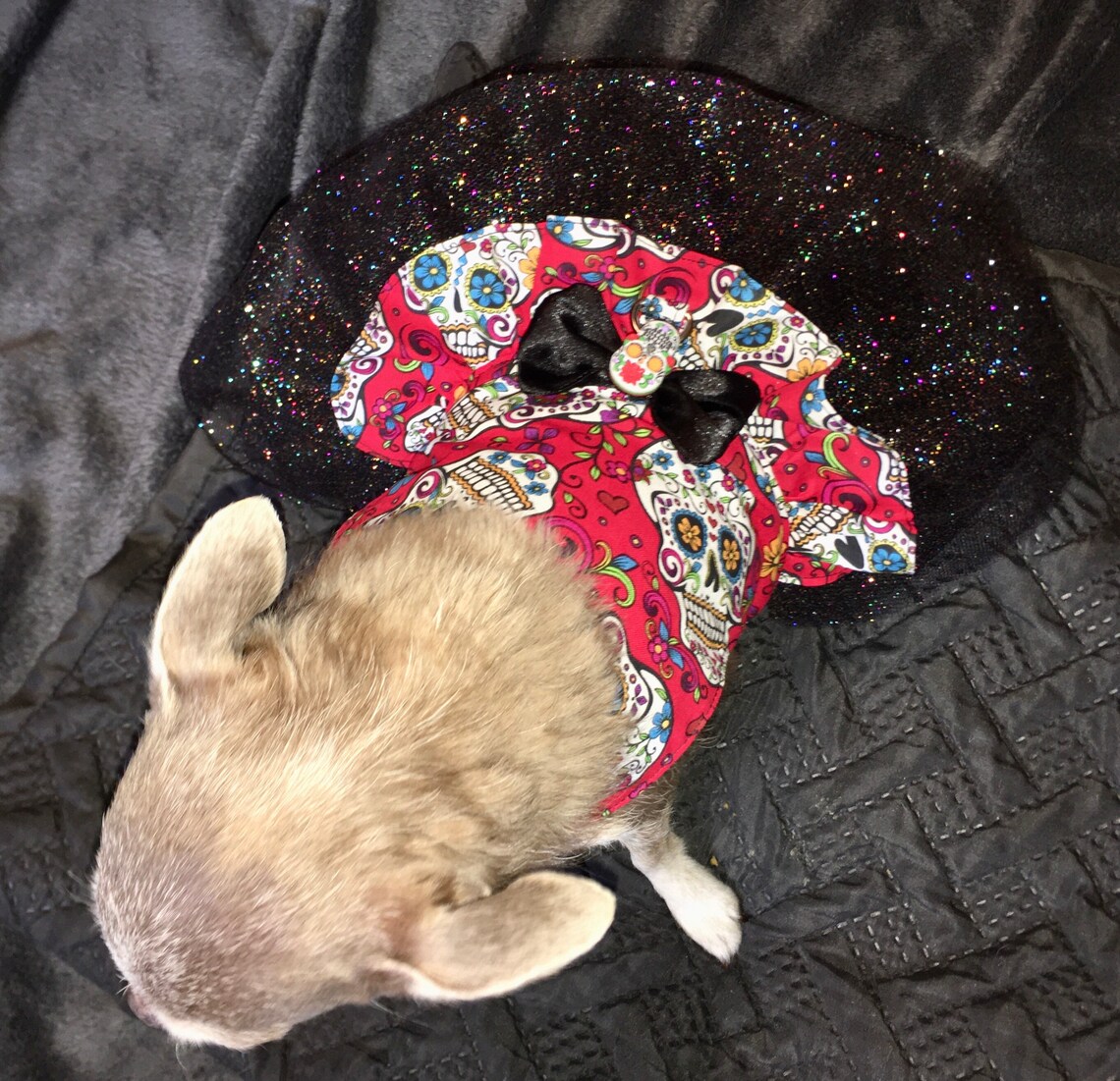 Red Sugar Skulls Dog Dress | Etsy