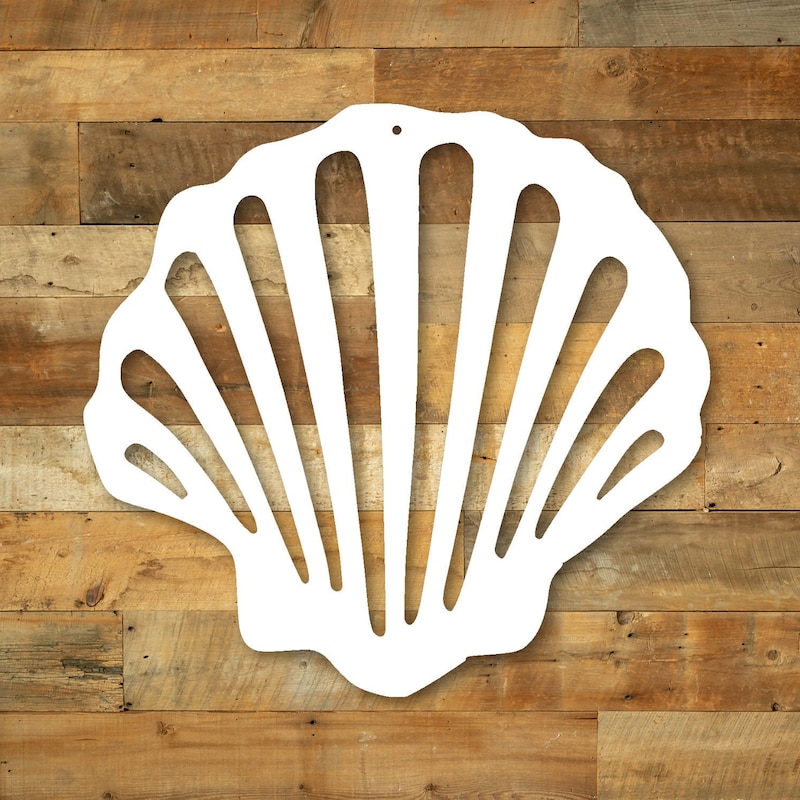 Shell Wall Decor - Etsy