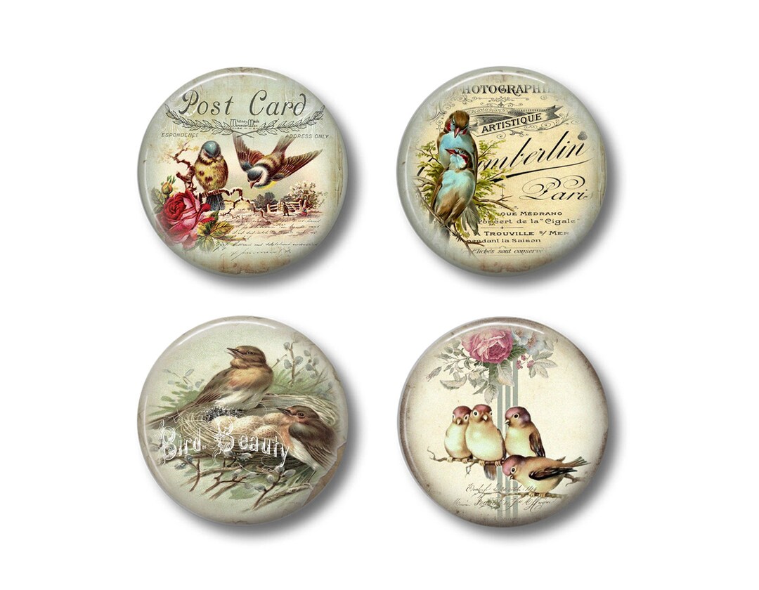 Vintage Bird Flair Pins, Vintage Bird Flair Buttons, Vintage Flair Pins ...