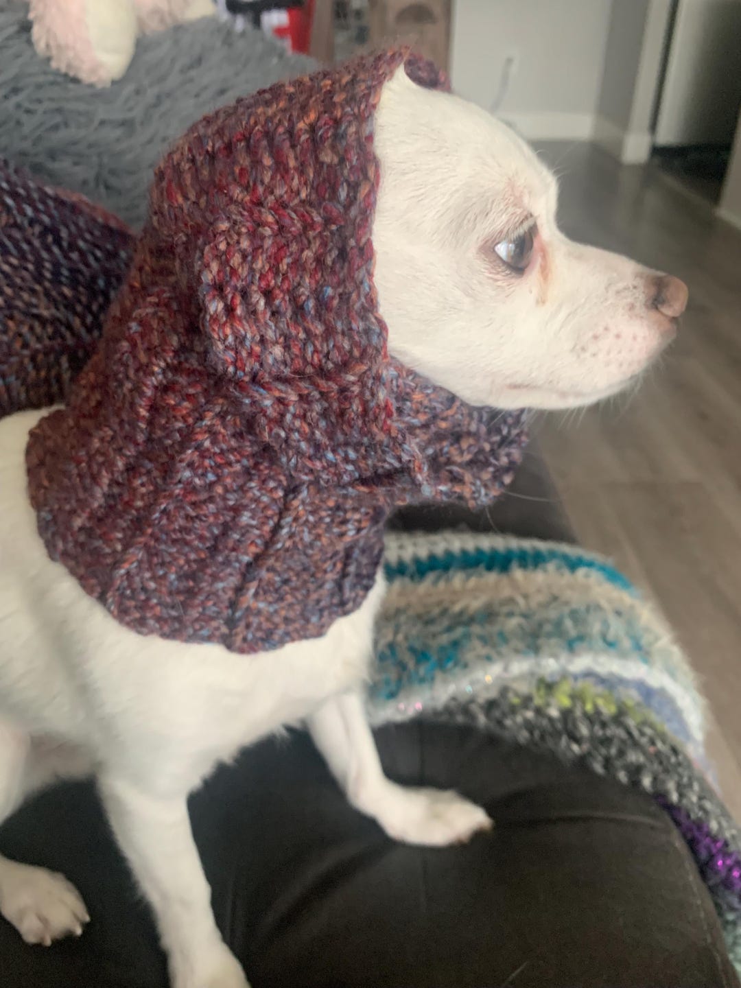 Small Dog Snood, Dog Hood, Chihuahua Hood, Dog Hood, Soft and Warm Dog ...