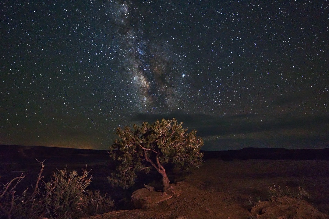 Tree and the Milky Way - Digital Download - Etsy