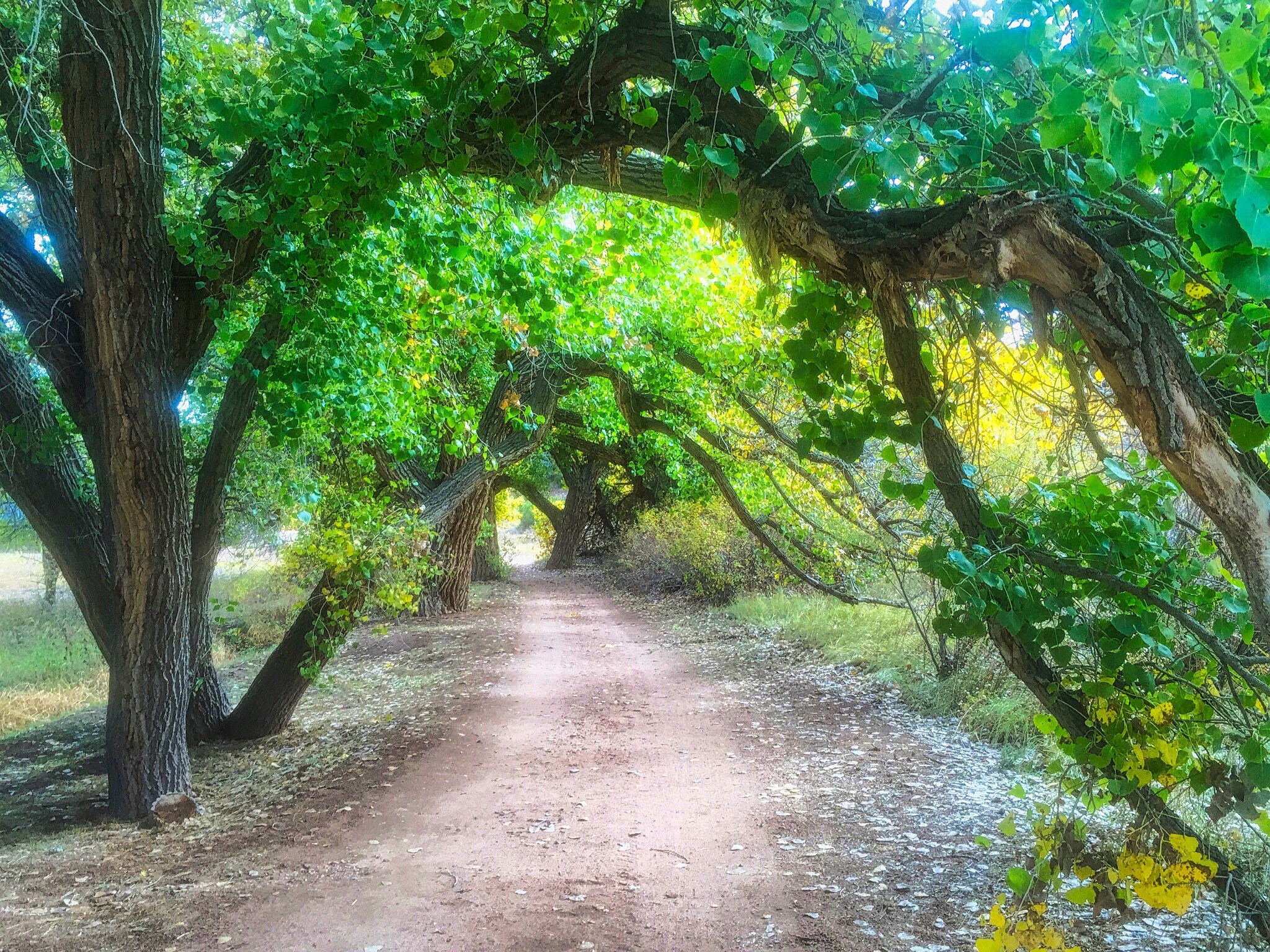 The Path - Digital Download - Etsy