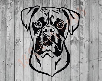 Boxer svg Dog svg Dog vector Boxer vector cute face head pet svg Cricut ...
