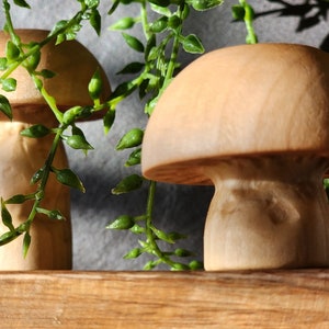 Handcarved Wood Mushroom Essential Oil Diffuser Set: Forest Decor - Etsy