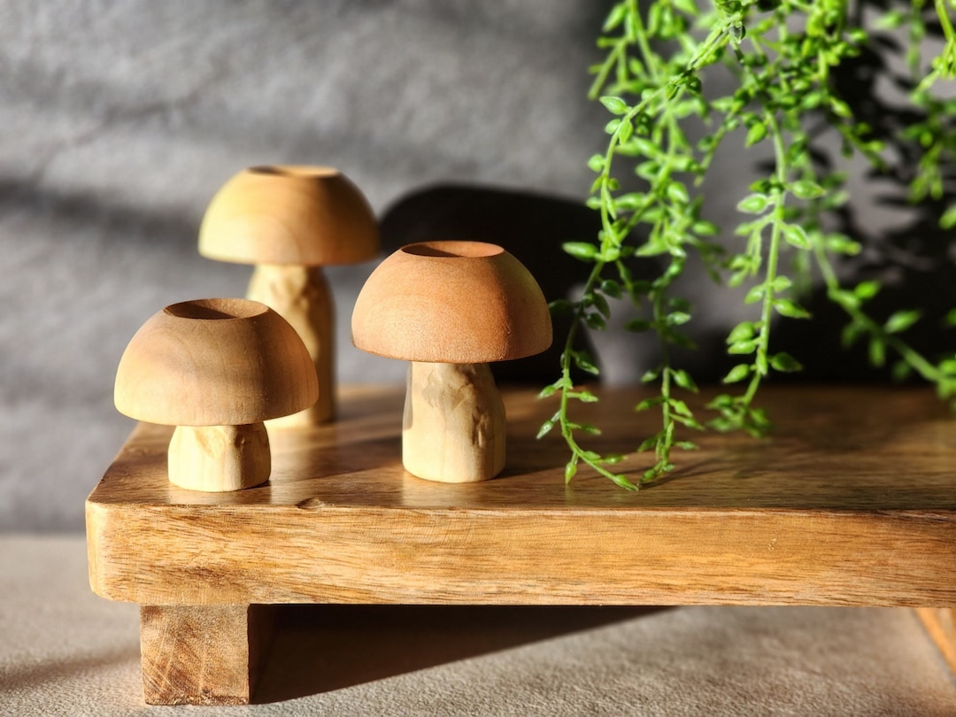Handcarved Wood Mushroom Essential Oil Diffuser Set: Forest Decor - Etsy