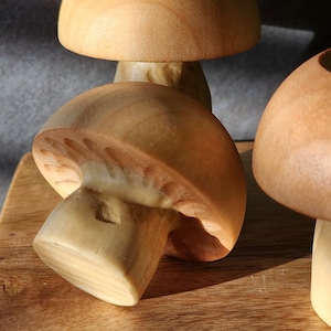 Handcarved Wood Mushroom Essential Oil Diffuser Set: Forest Decor - Etsy