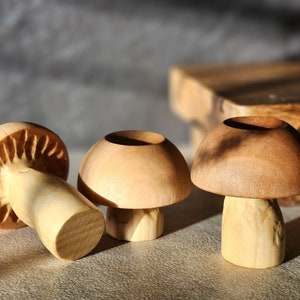 Handcarved Wood Mushroom Essential Oil Diffuser Set: Forest Decor - Etsy