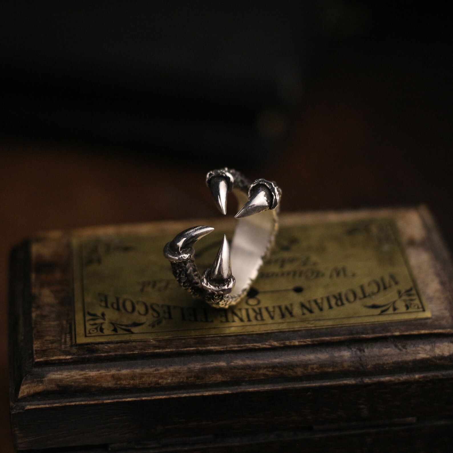 Eagle claw 925 silver ring Dragon claw ring Animal claw open | Etsy