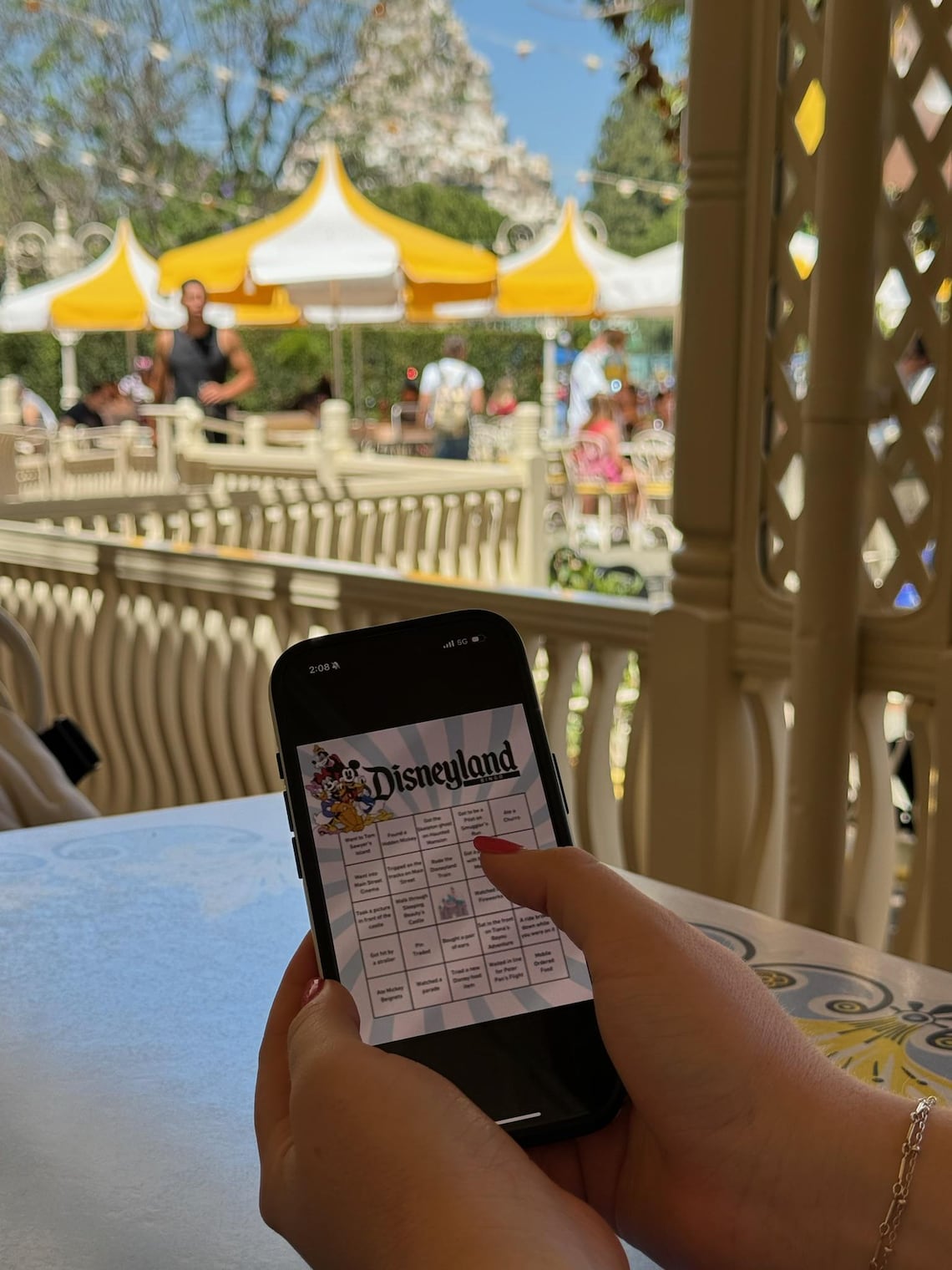 Disneyland Bingo Game- Digital Download Print at Home - Etsy