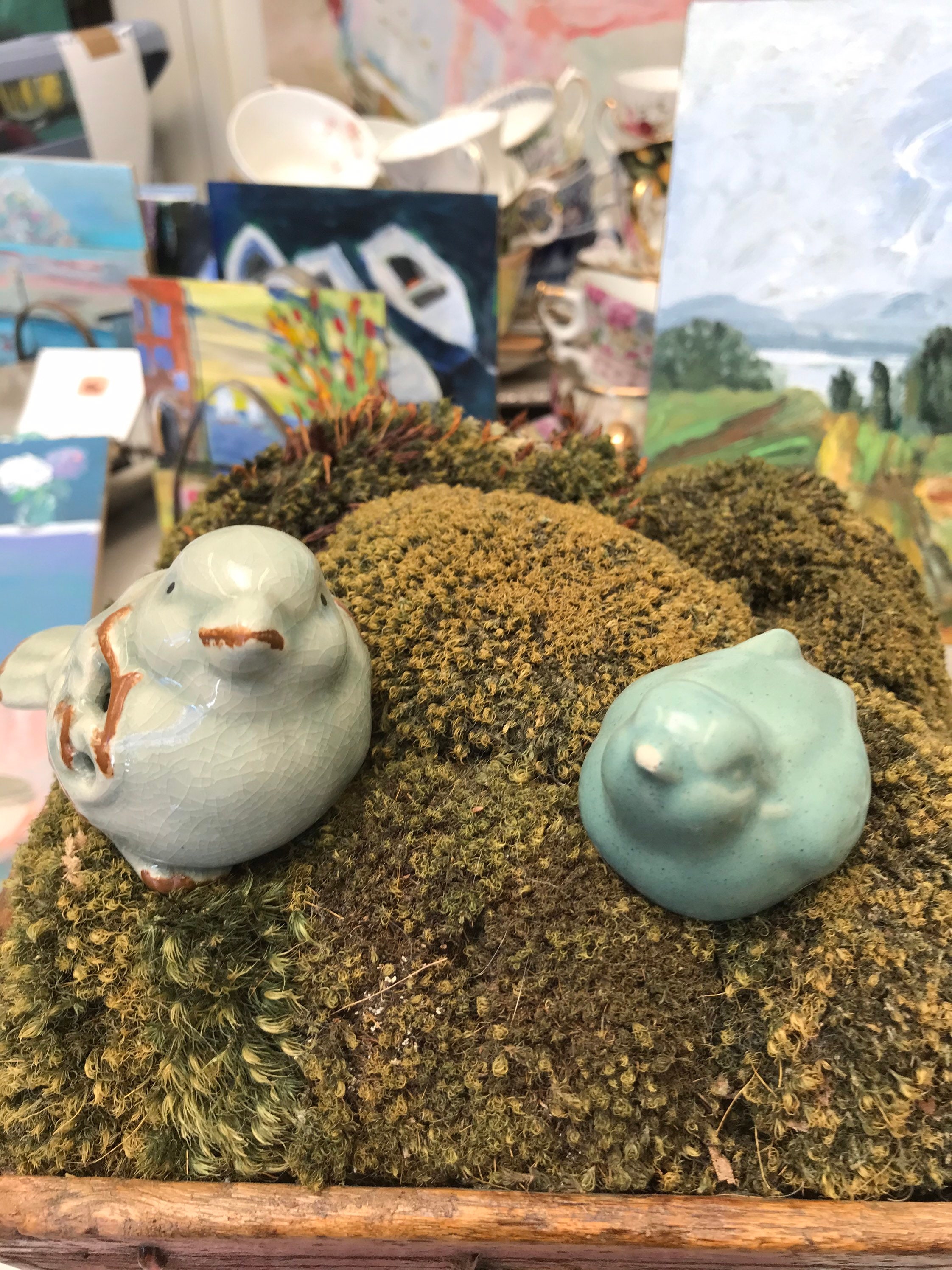 Birds Nesting in Moss Worden Box - Etsy