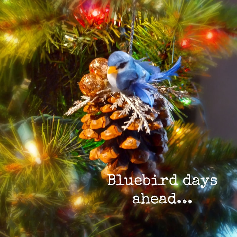 Bluebird - Etsy