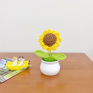 Exquisite Handmade Crochet Mini Plant Potted Plant, Romantic Gift for ...