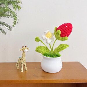 Exquisite Handmade Crochet Mini Plant Potted Plant, Romantic Gift for ...