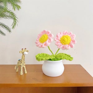 Exquisite Handmade Crochet Mini Plant Potted Plant, Romantic Gift for ...