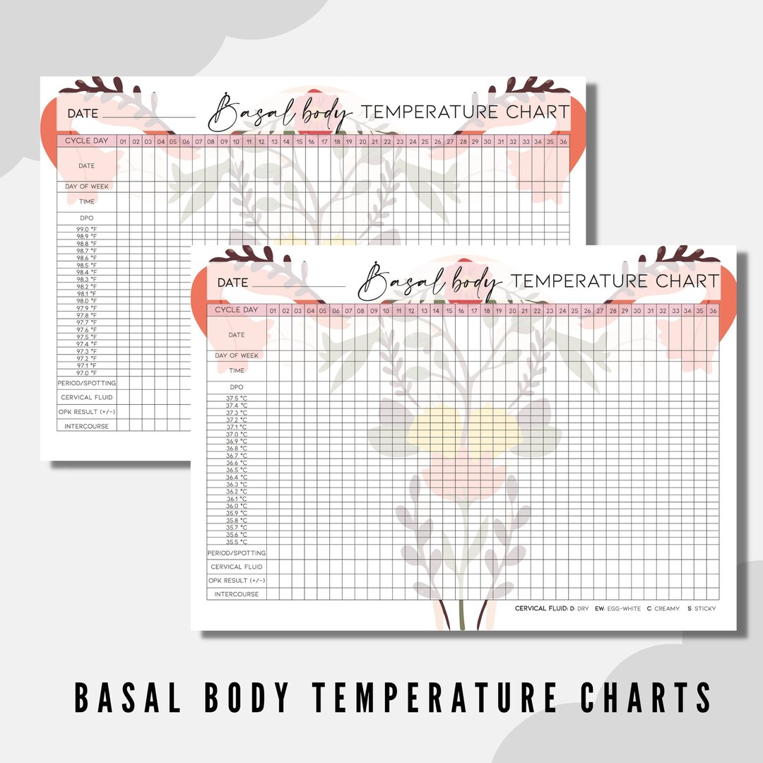 Basal Body Temperature Chart Planner Printable Download - Etsy