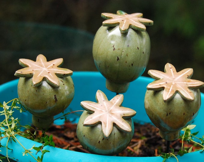 Poppy Pods, Ceramic Poppy, Poppy, California Poppy, Ceramic Flowers ...