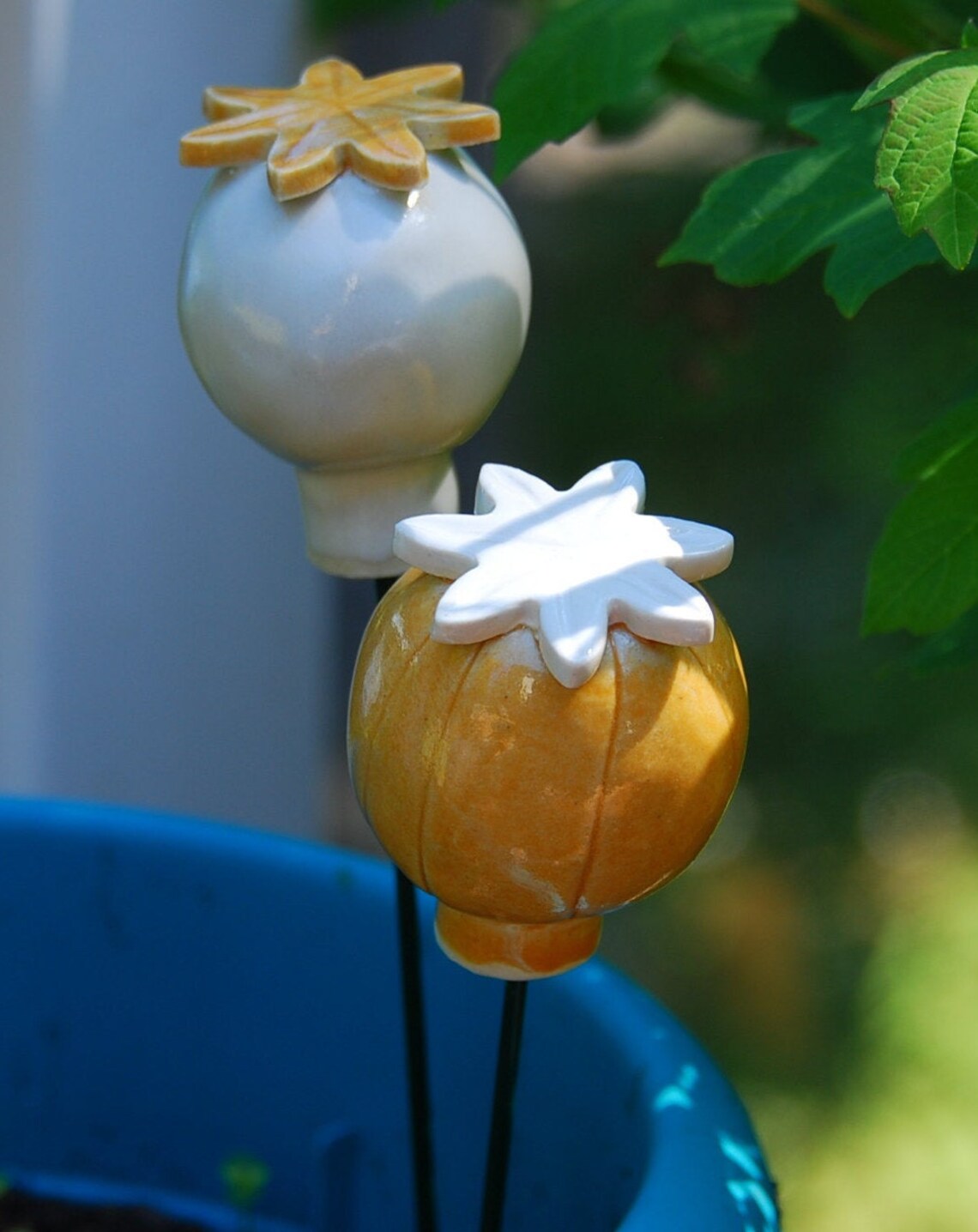 Poppy Pods Set of 2 Poppy California Poppy Garden - Etsy