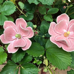 Pink Magnolia, (1 Pc), Magnolia, Pale Pink, Dusty Pink, Ceramic ...