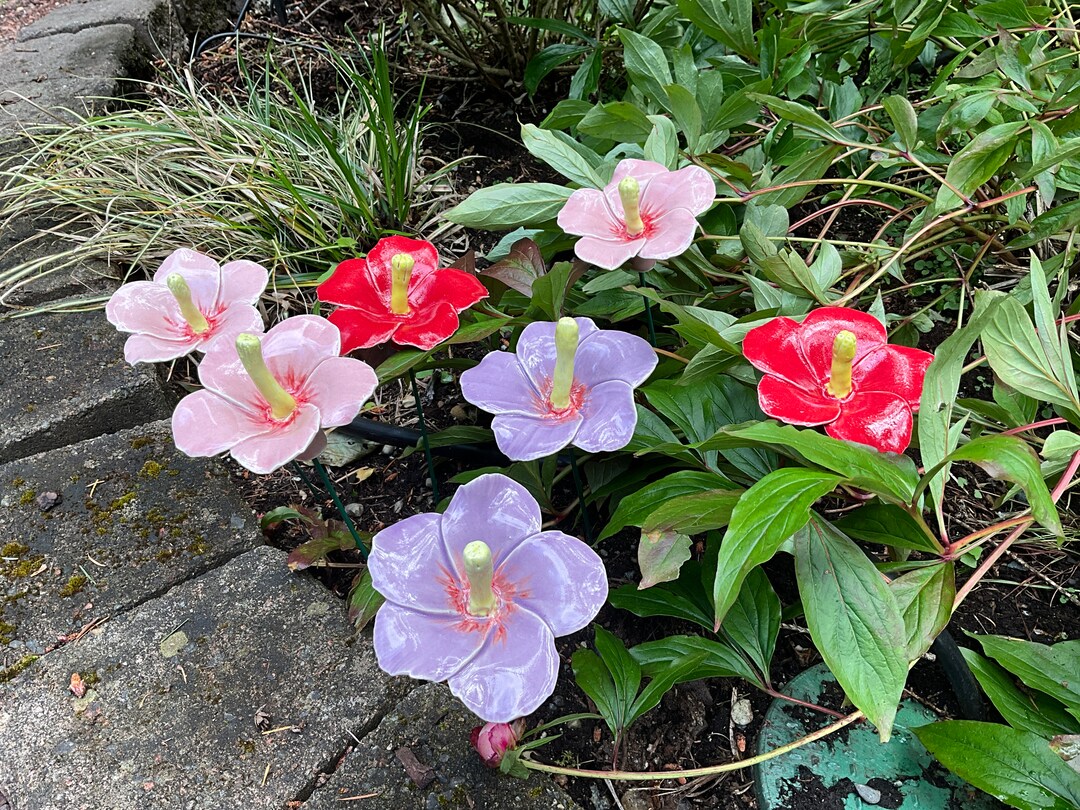 NEW **** Hibiscus (1 Pc), Rose of Sharon, Ceramic Hibiscus, Ceramic ...