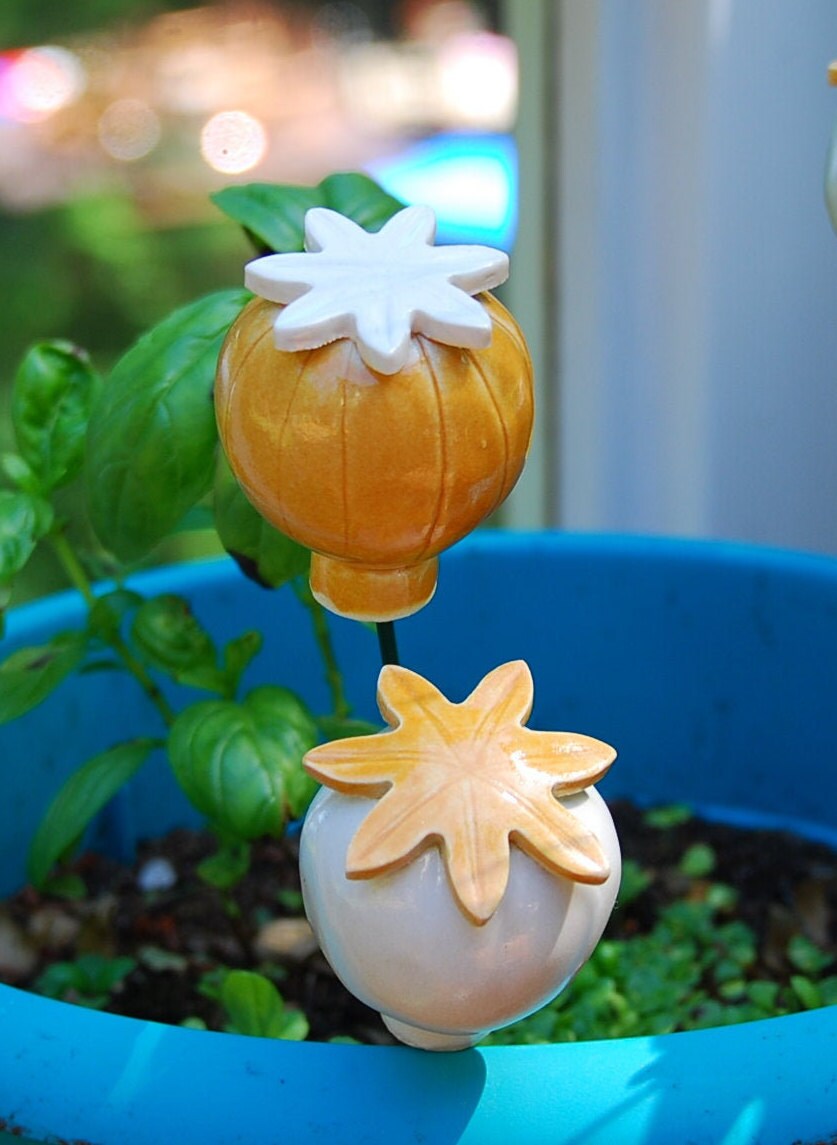 Poppy Pods, Set of 2, Poppy, California Poppy, Garden Decoration ...