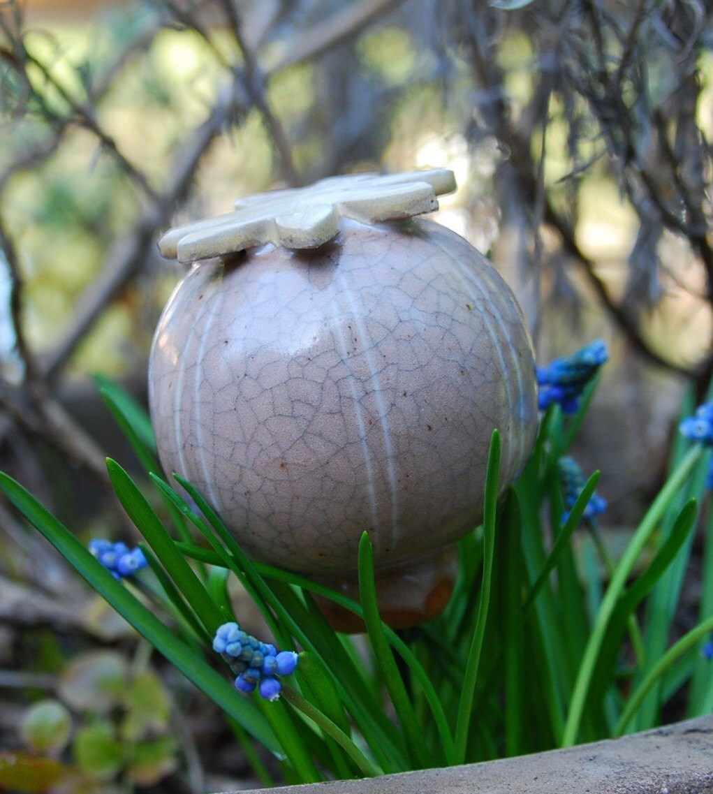 Poppy pods Set of 2 Ceramic poppy Ceramic flowers Garden | Etsy