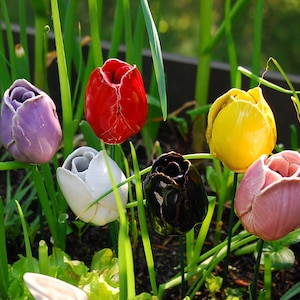 Tulip, (1 Pc), Ceramic Tulip, Handmade Tulip, Porcelain Tulip, Ceramic ...