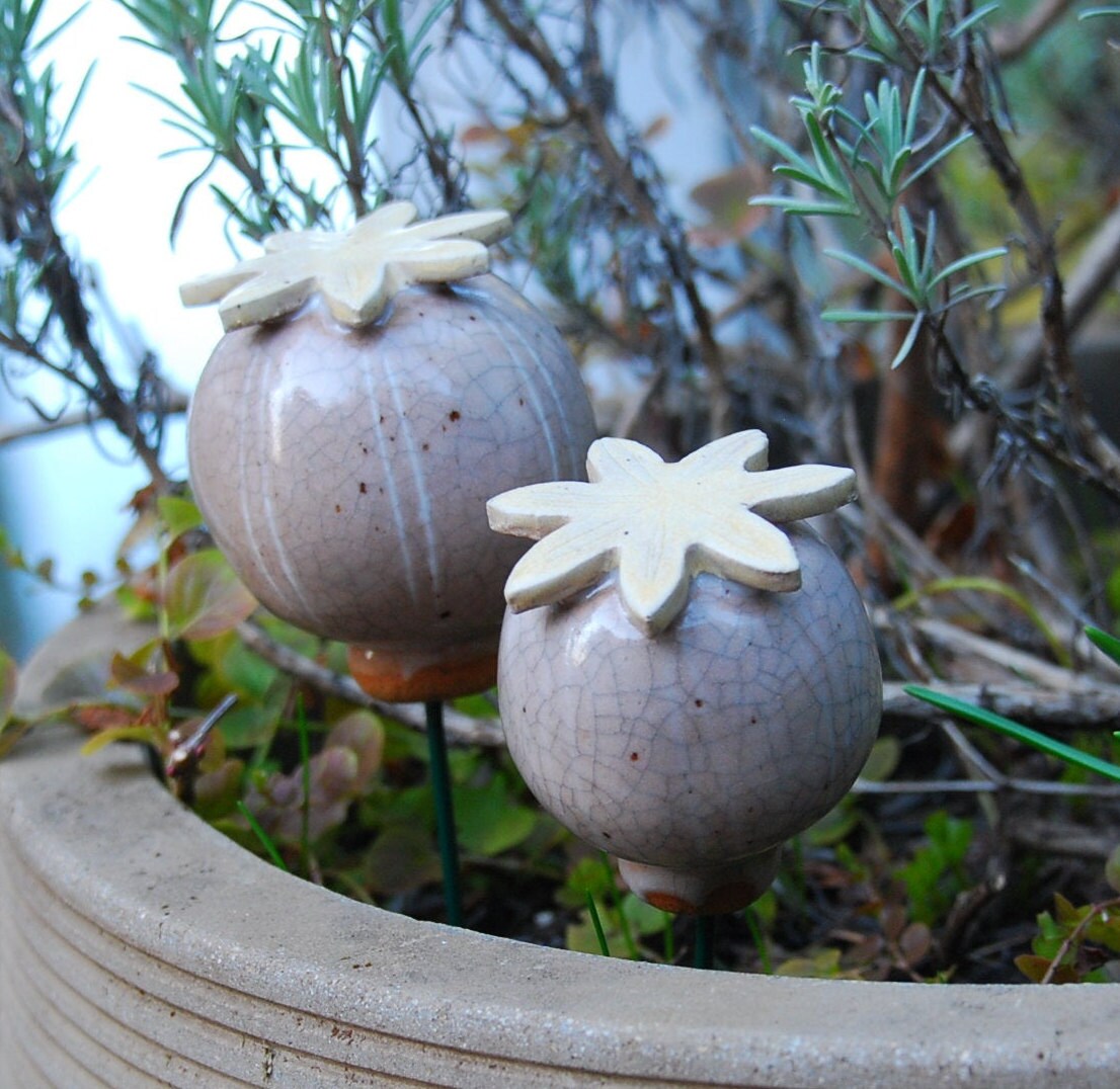 Poppy pods Set of 2 Ceramic poppy Ceramic flowers Garden | Etsy