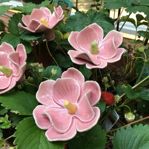 Pink Magnolia, (1 Pc), Magnolia, Pale Pink, Dusty Pink, Ceramic ...