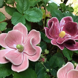 Pink Magnolia, (1 Pc), Magnolia, Pale Pink, Dusty Pink, Ceramic ...