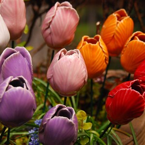 Tulip, (1 Pc), Ceramic Tulip, Handmade Tulip, Porcelain Tulip, Ceramic ...