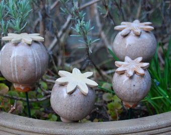 Poppy Pods, Ceramic Poppy, Poppy, California Poppy, Ceramic Flowers ...