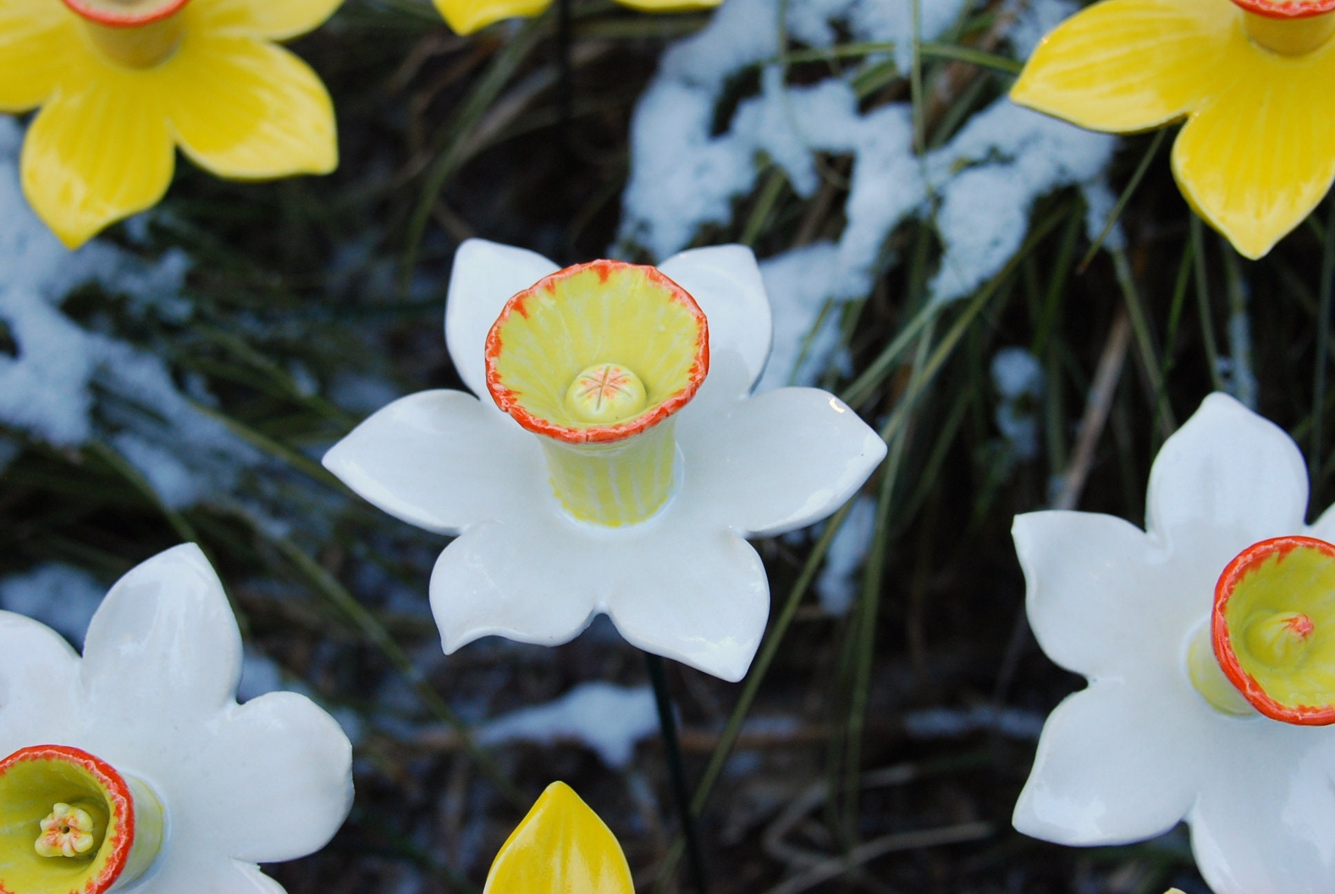 Daffodil (1 Pc), Porcelain Daffodil, Porcelain Flowers Handmade ...